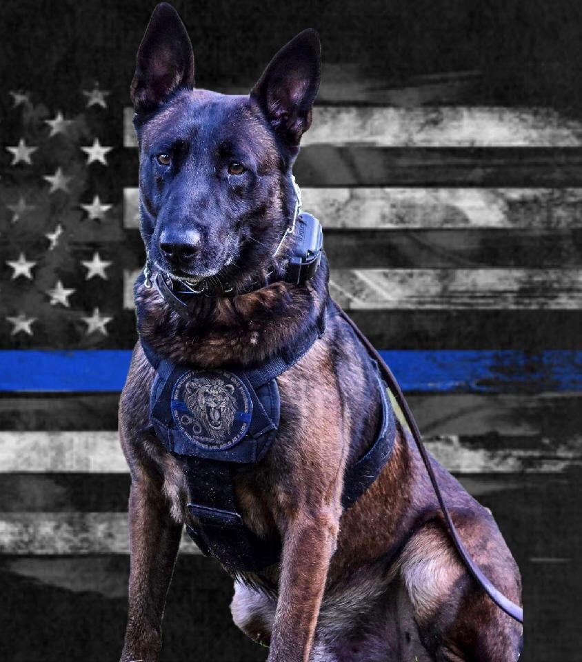 DeKalb County police mourning death of retired K9 Officer Drago - CBS Atlanta