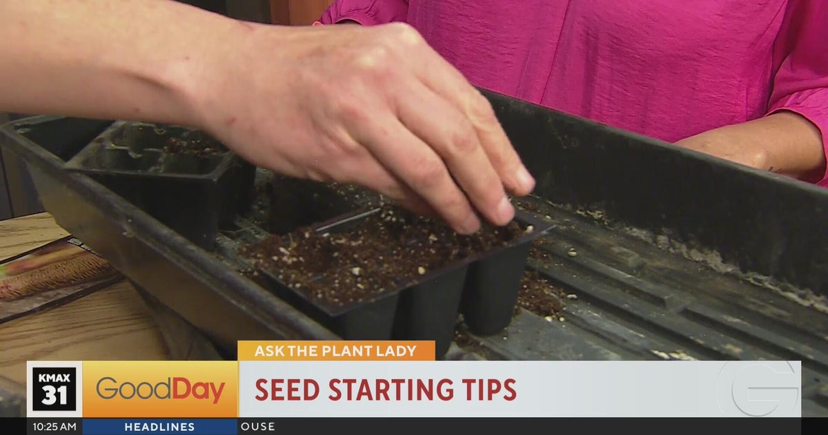 The Plant Lady - Seed Starting Tips - Good Day Sacramento
