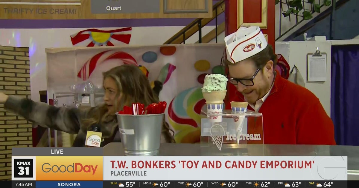 Bella is Bonkers For Ice cream - Good Day Sacramento