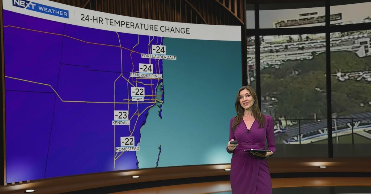 South Florida braces for coldest temperatures to invade region since ...
