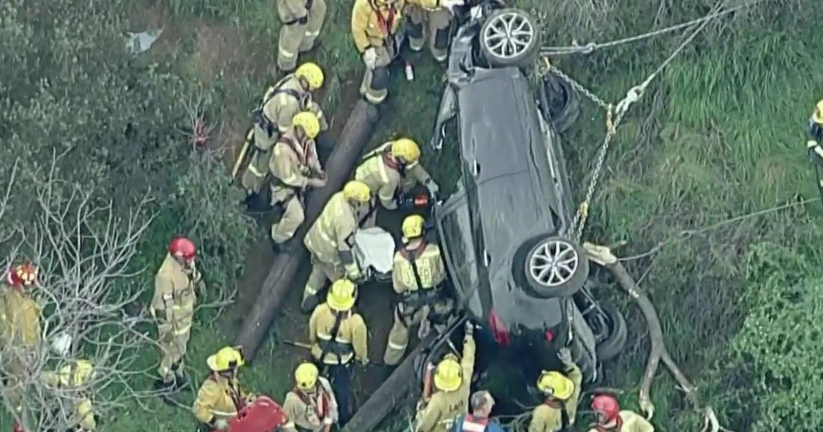 Driver rescued after driving off cliff in Los Angeles - CBS Miami