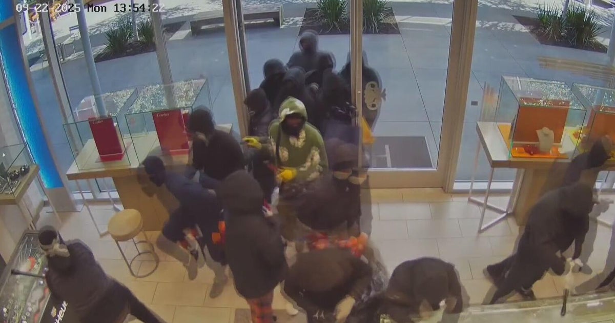 South Bay public safety leaders say region is safer as theft ...