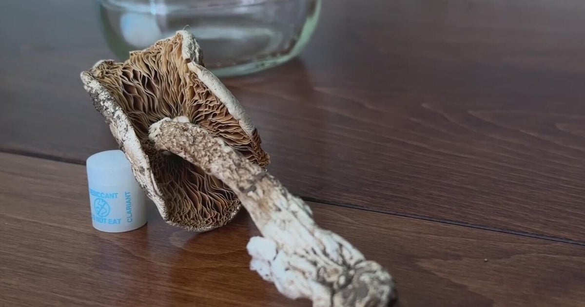 Bay Area man dies after eating poisonous foraged mushroom - CBS San ...
