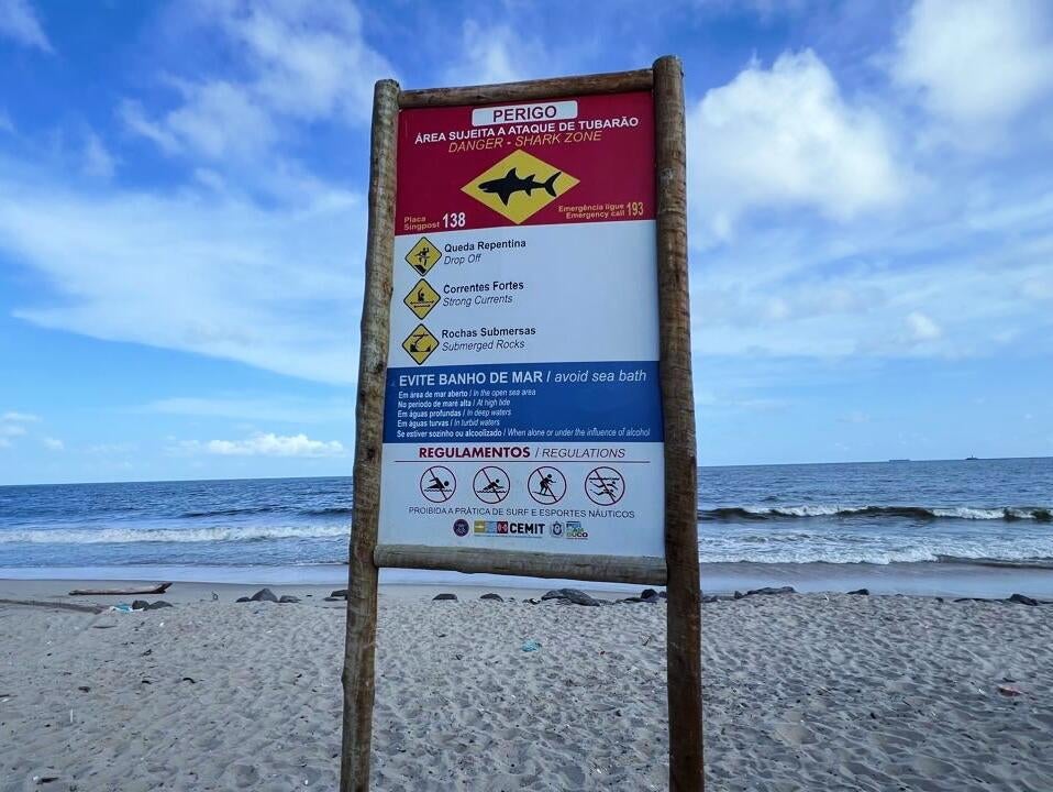 Shark kills 13-year-old boy at popular beach in Brazil: "Ate almost his ...
