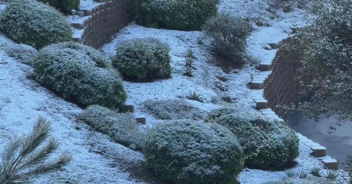 Rare snow falls in Santa Cruz Mountain communities - CBS San Francisco