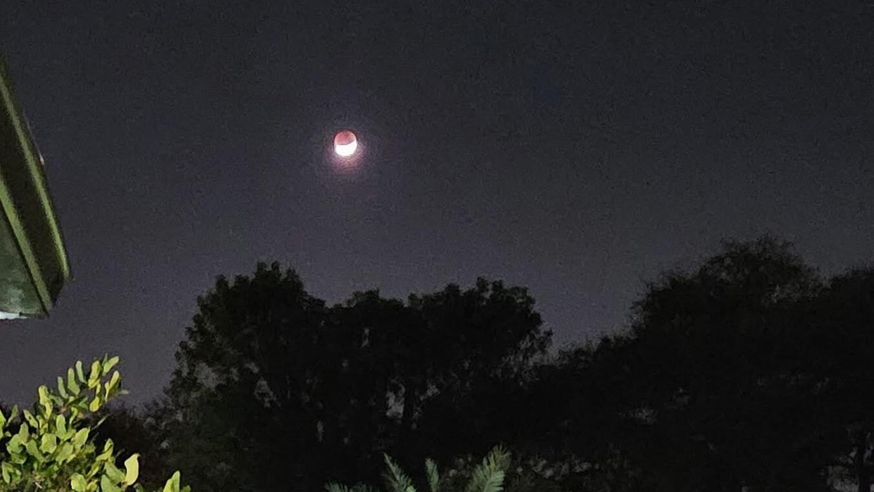 Blood moon during lunar eclipse gives South Florida a beautiful show ...
