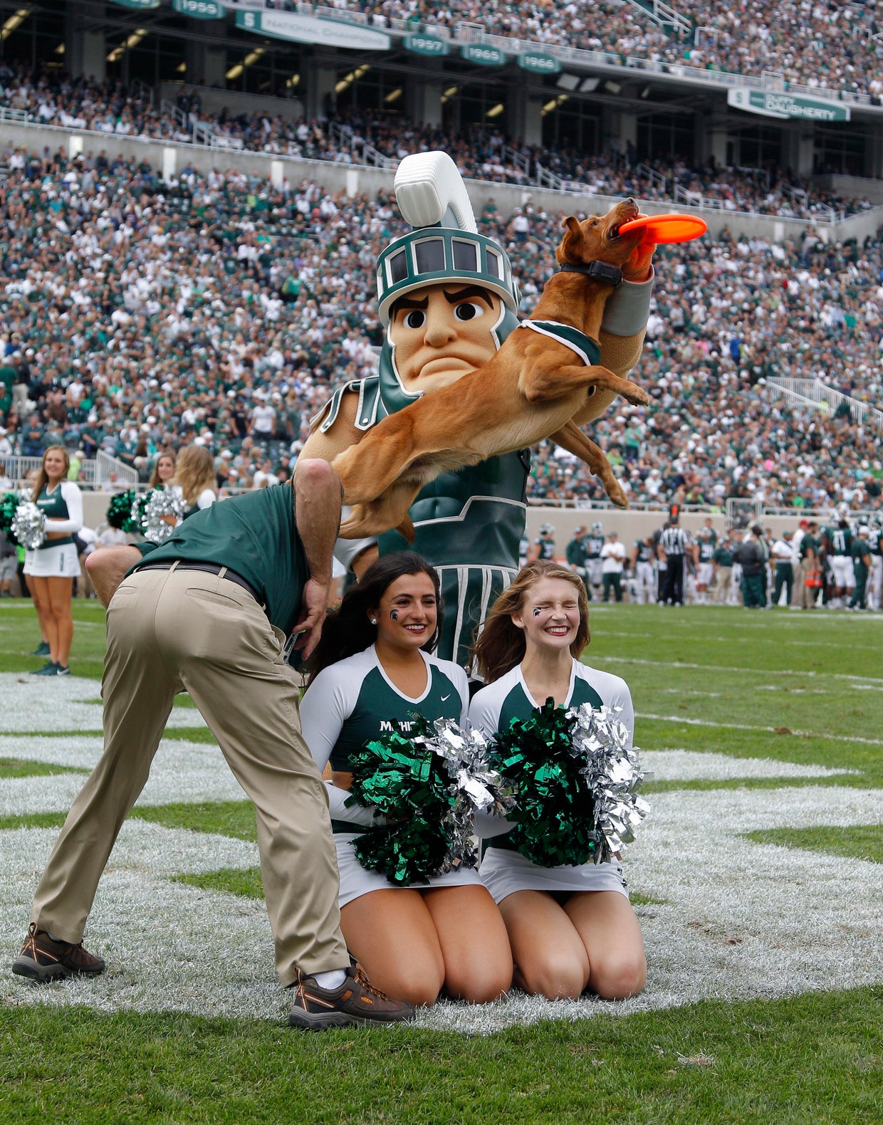 Michigan State University's beloved "Zeke the Wonderdog" dies - CBS Detroit