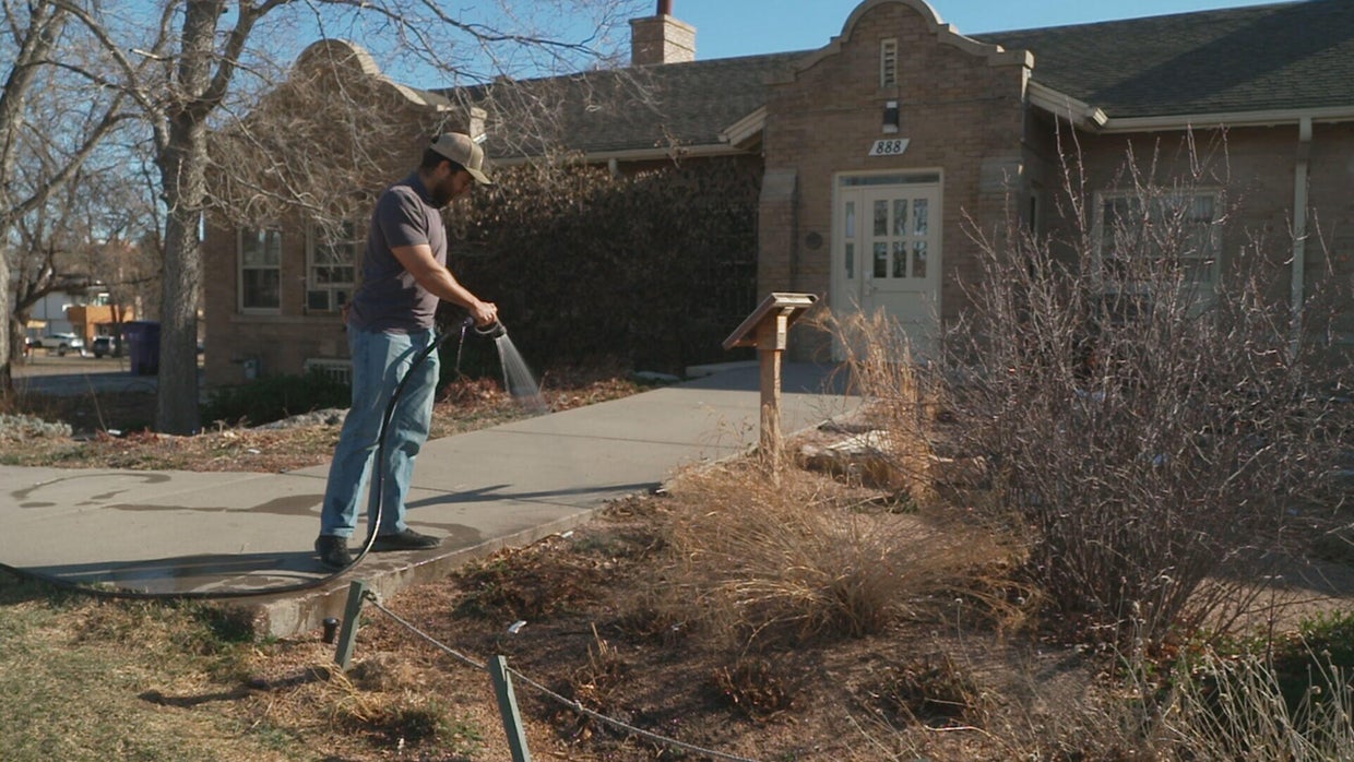 Denver Water prepares for restrictions, issues PSA for watering trees ...
