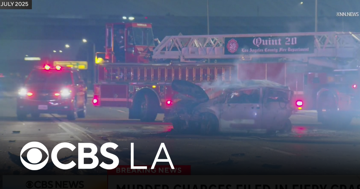 CHP officer, woman charged with murder in connection with deadly ...