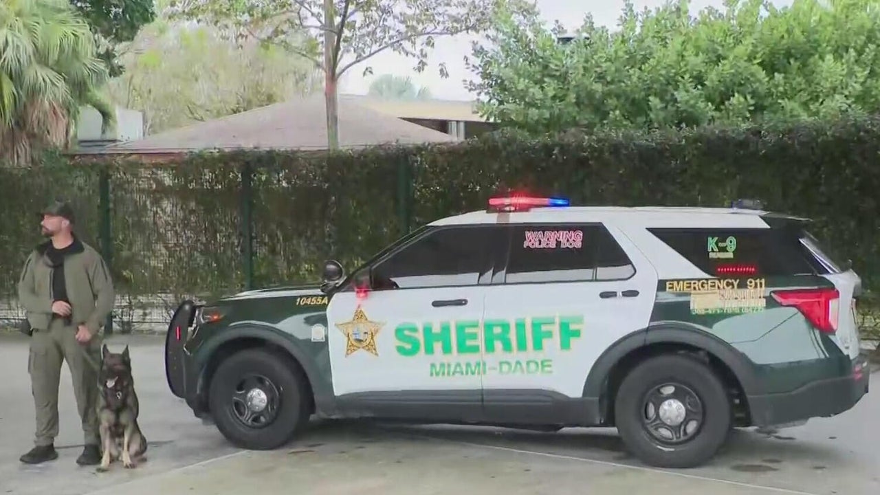 Zoo Miami news - Today’s latest updates - CBS Miami