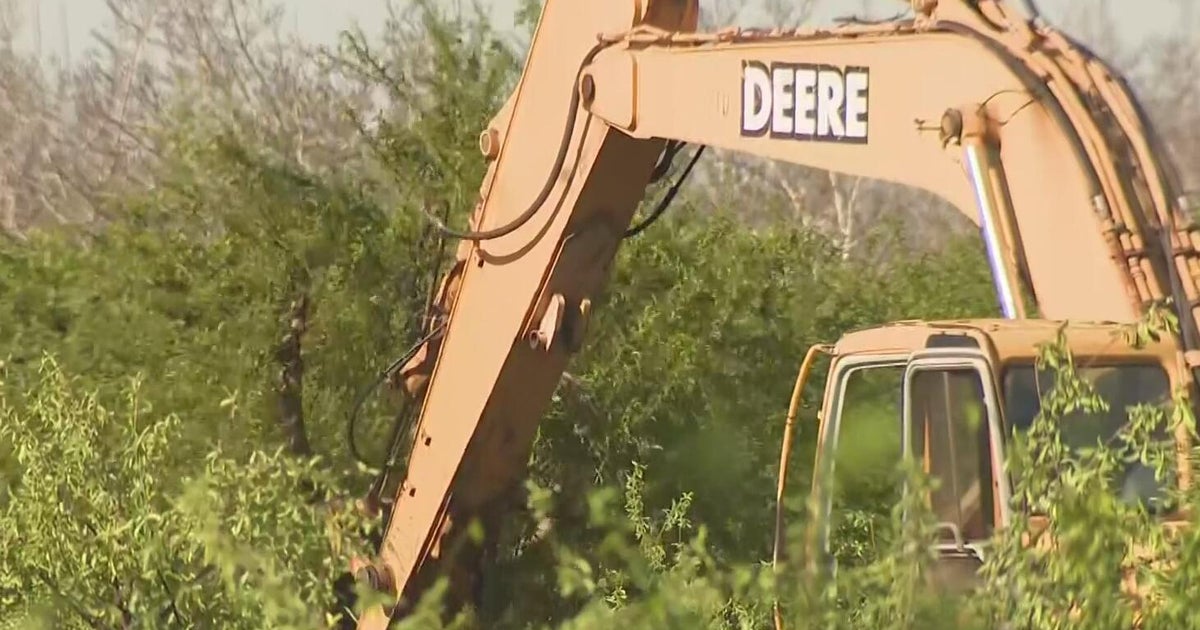 Amid Modesto cannery closure, Northern California peach growers rip out ...