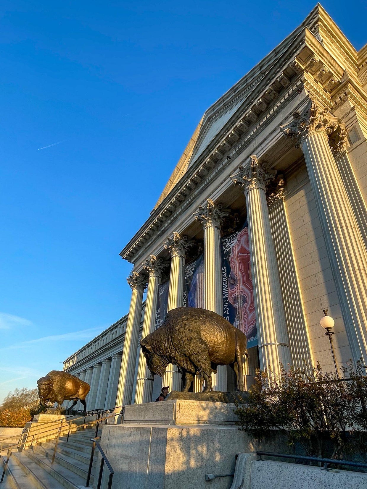 Statues from Northern Colorado foundry find new home at Smithsonian ...