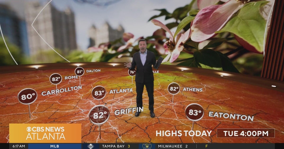 Georgia weather: Cherry Blossoms past peak, high pollen count continues ...