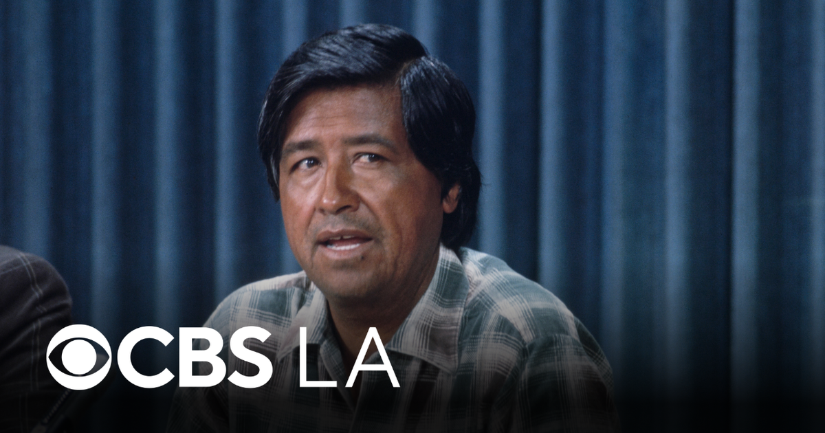 Reflecting on the Farmworkers Movement after the allegations against ...