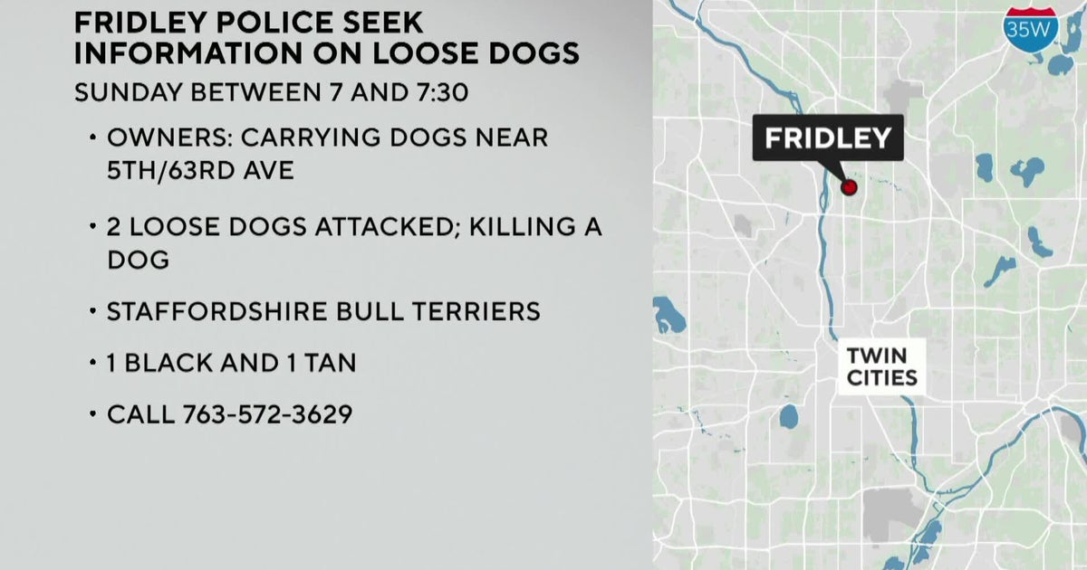2 dogs kill pet in Fridley, police seeking information - CBS Minnesota