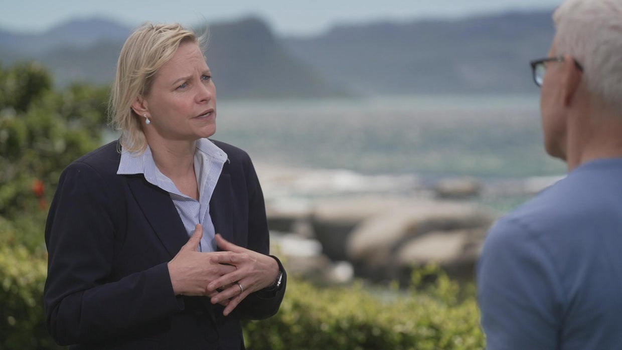 South Africa's great white sharks mysteriously vanished. Scientists can ...