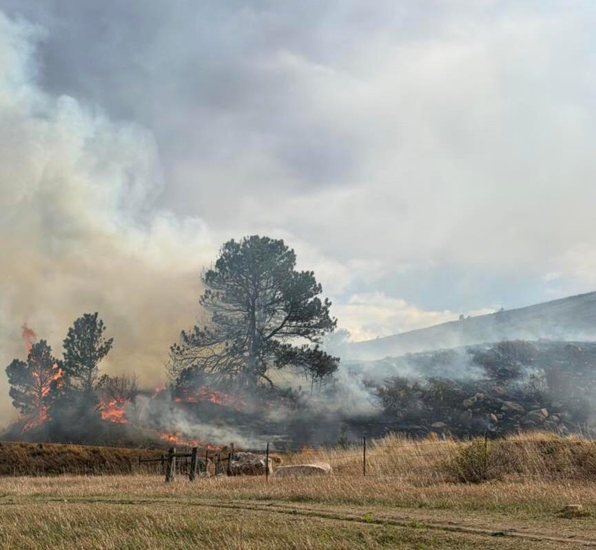Firefighters contain Ponds Fire in Fort Collins; evacuations lifted for ...