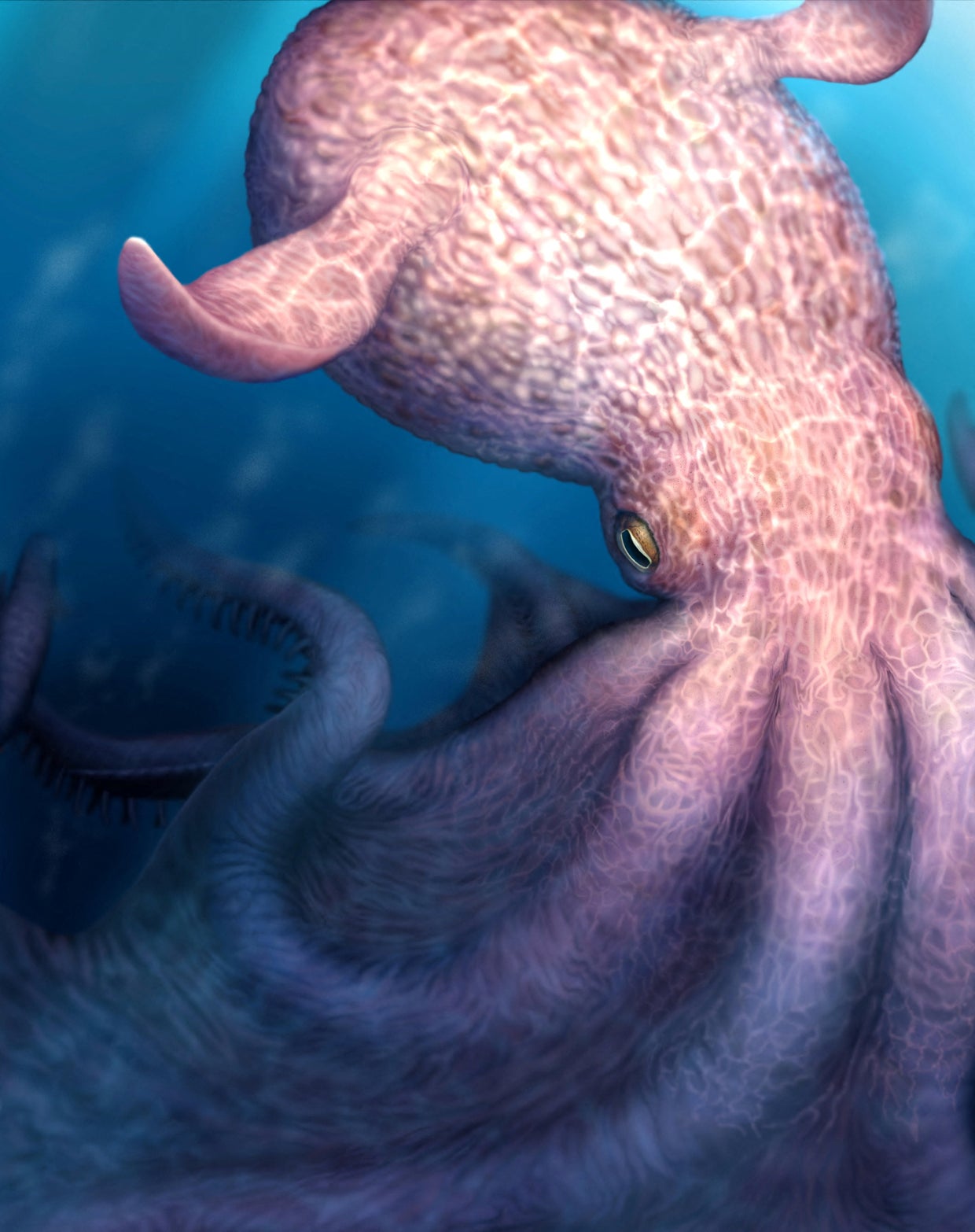 60-foot octopus prowled seas as apex predator during age of dinosaurs ...
