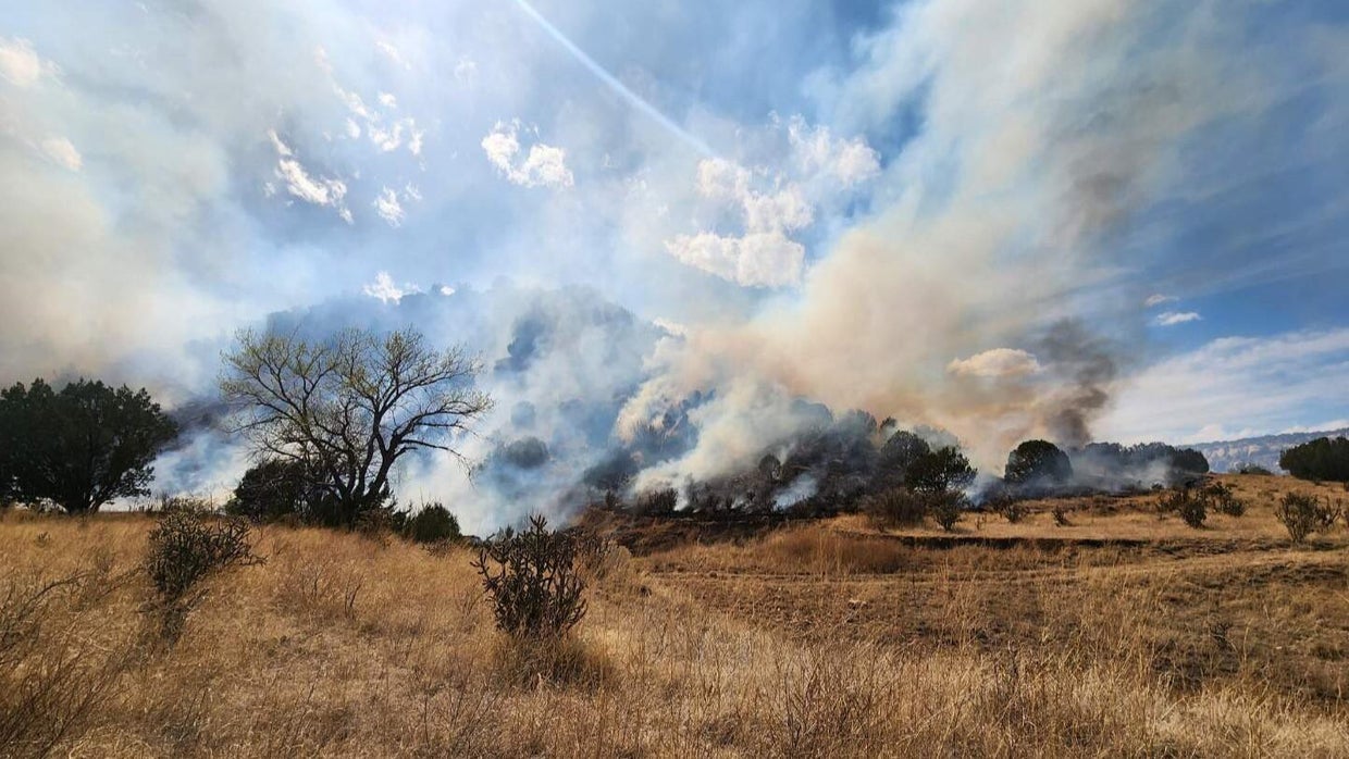 Firefighters reach 100% containment on large wildfire in southeast ...