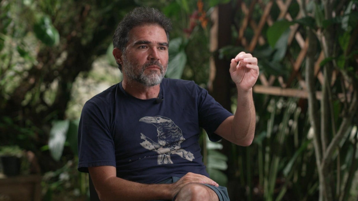 Birding paradise flourishes in Colombian region that was once a war ...
