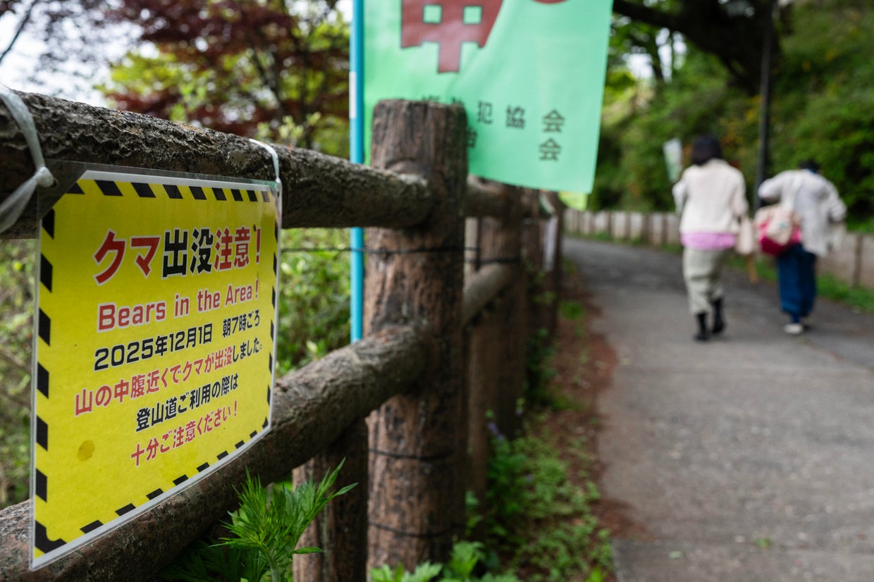 Bear kills woman in Japan, 2 more deadly attacks suspected - CBS News
