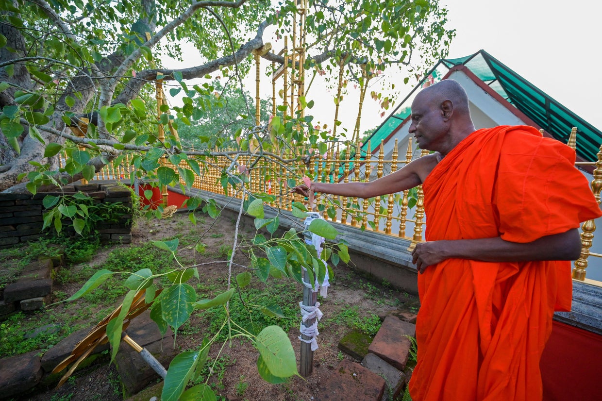 Prominent Buddhist monk arrested over alleged sexual abuse in Sri Lanka ...