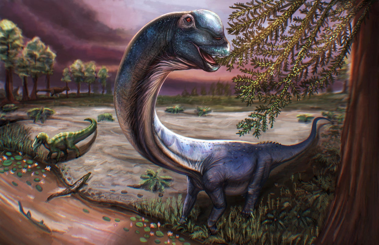 Skeletal remains of new dinosaur weighing as much as 9 elephants ...