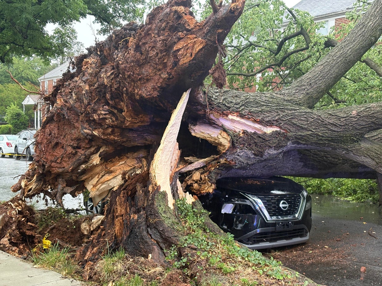Severe storms in Maryland cause damage, uproot trees in some ...
