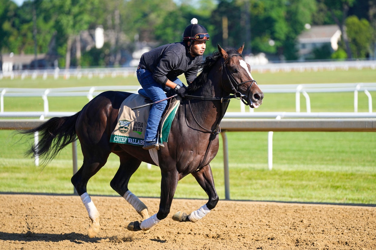 Meet the horses that ran in the 2026 Belmont Stakes | WGHN