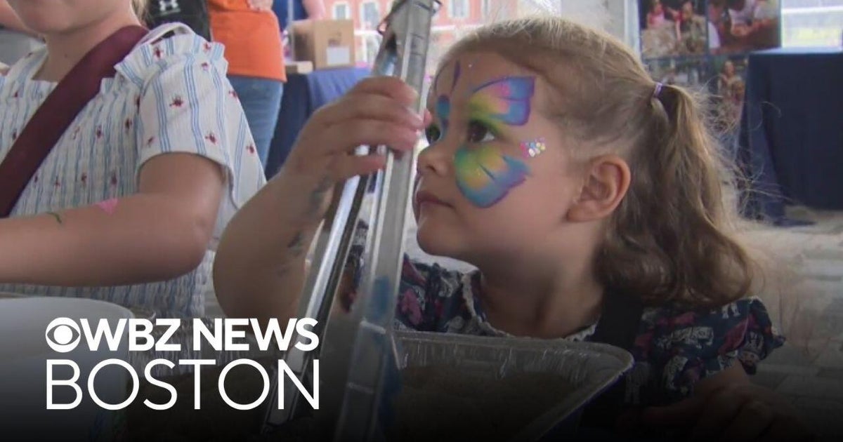 New England Aquarium hosts World Ocean Day activities - CBS Boston