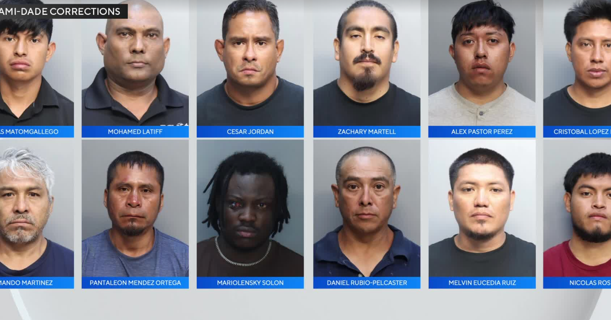 12 men behind bars accused of human trafficking after large sting in ...