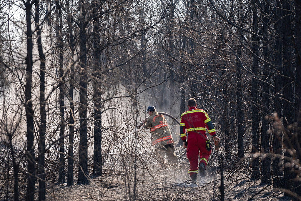 Georgia's massive Pineland Road and Highway 82 wildfires now fully ...