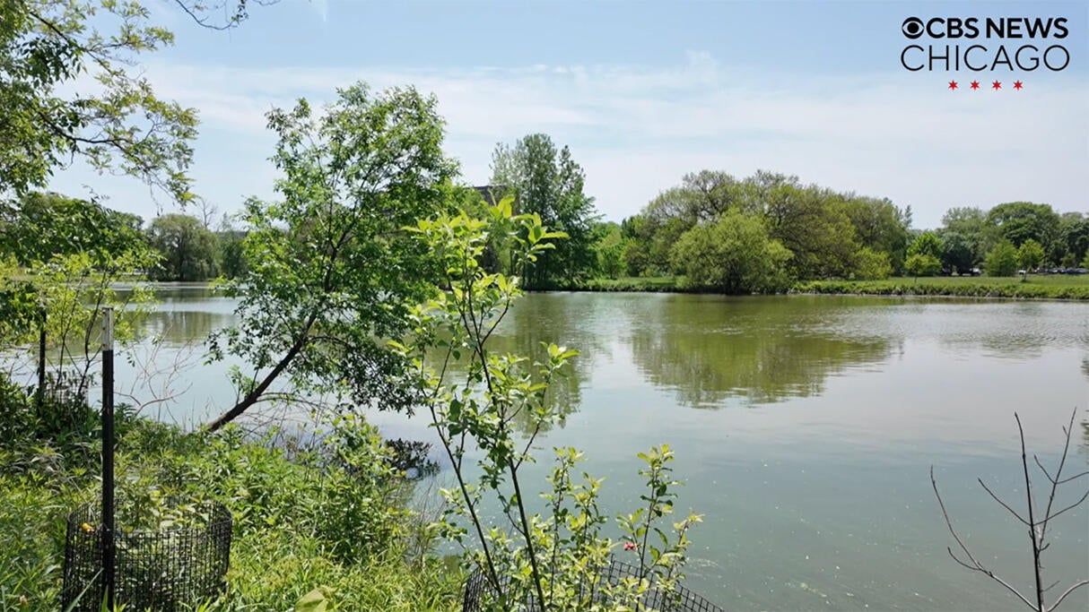 Washington Park news - Today’s latest updates - CBS Chicago