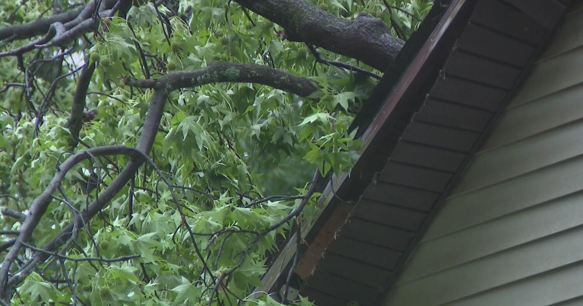 Storms knock down trees and power lines across metro Atlanta - CBS Atlanta