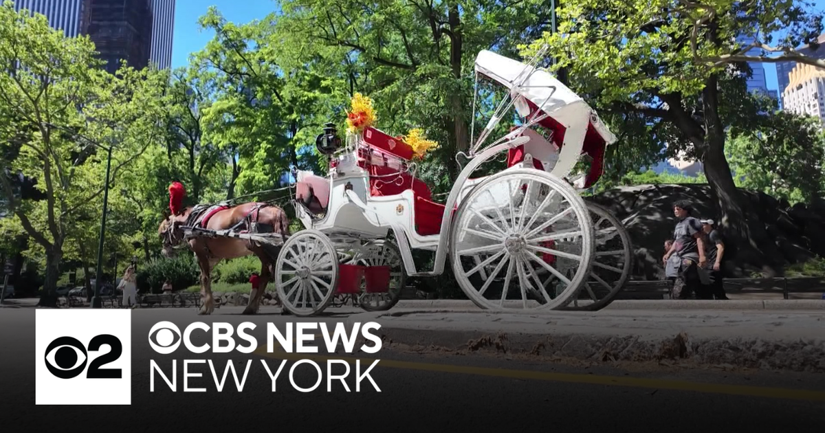 Horse carriage rides resume after death of tourist - CBS New York